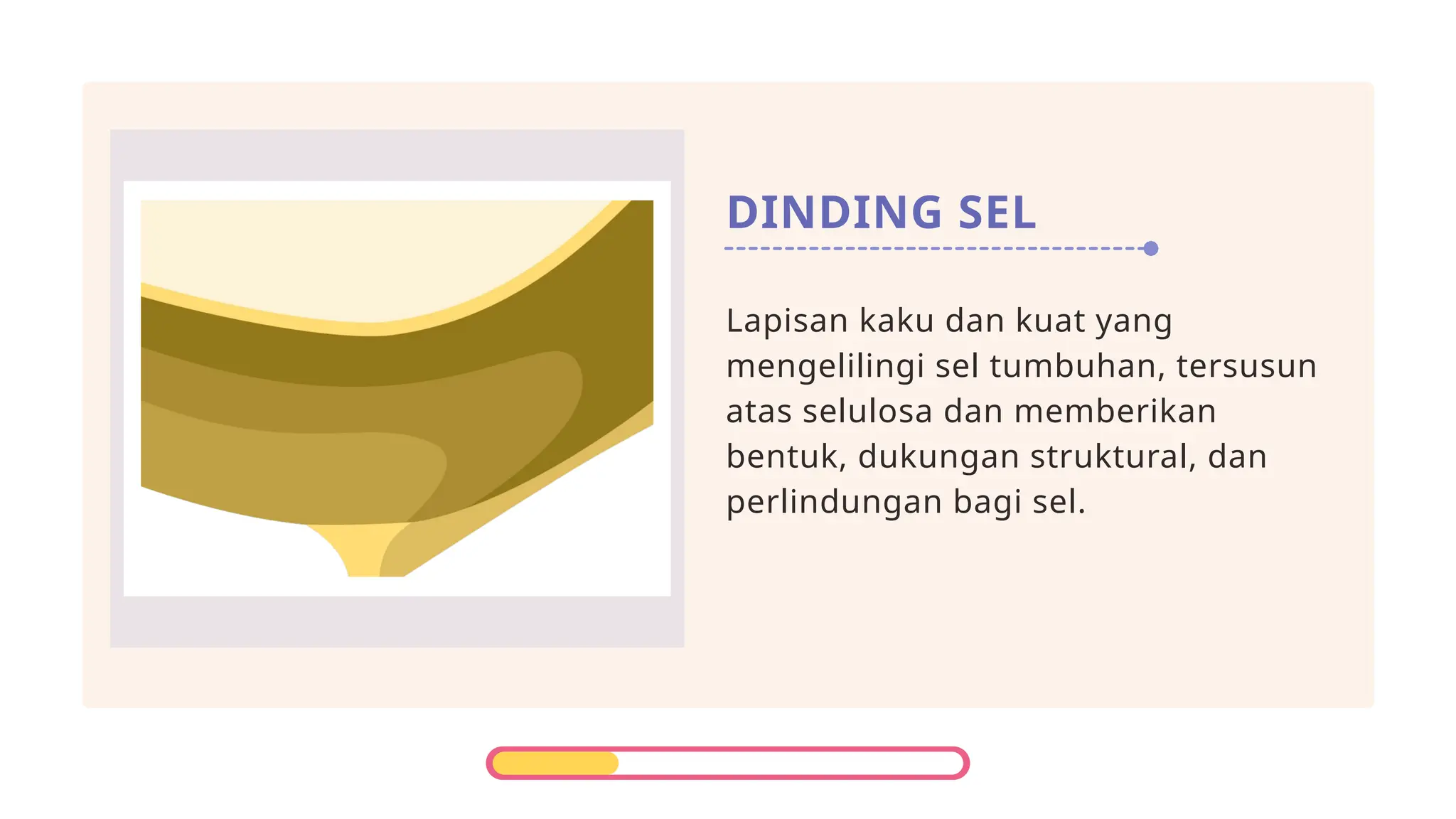 BAGIAN-BAGIAN SEL TUMBUHAN beserta Nama organelnya.pptx
