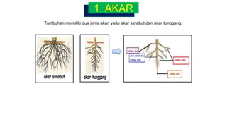 BAGIAN-BAGIAN TUMBUHAN.pptx