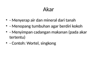 Materi IPAS kelas 4 SD Bagian-Bagian Tumbuhan | PPTX