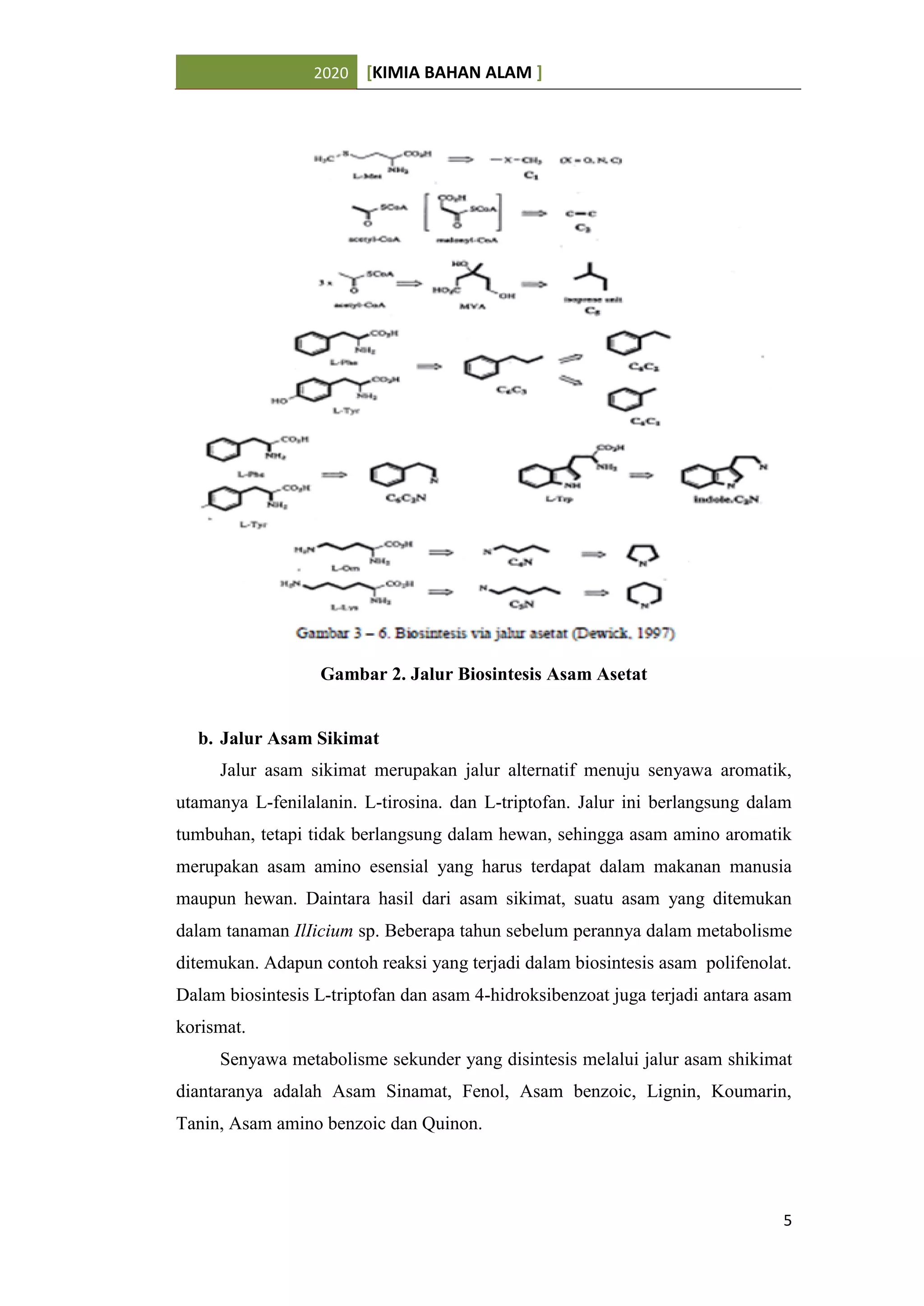 Bagian 1 metabolit sekunder | PDF