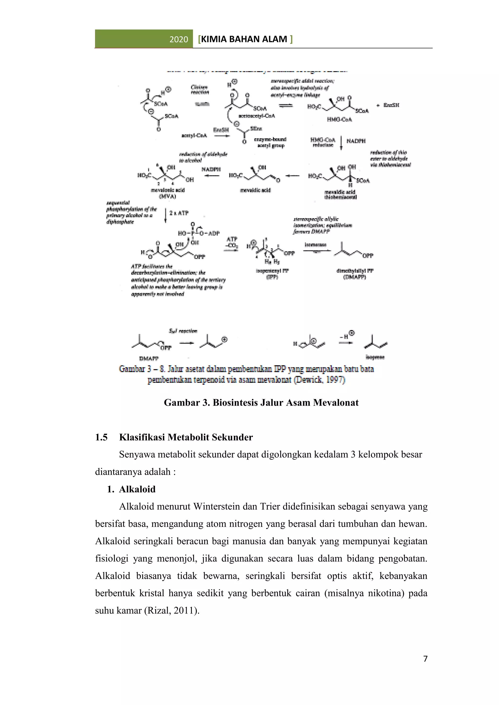 Bagian 1 metabolit sekunder | PDF