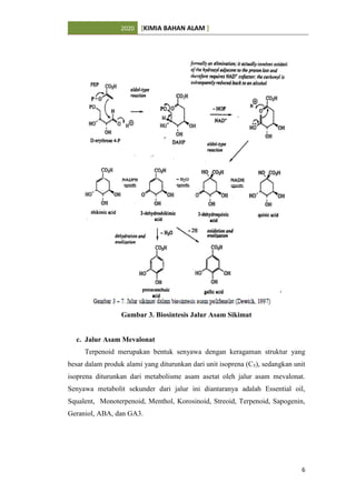 Bagian 1 metabolit sekunder | PDF