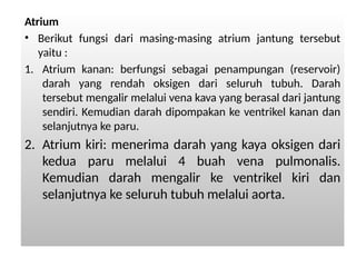 bagian 2 - jantung pembuluh darah manusia.pptx