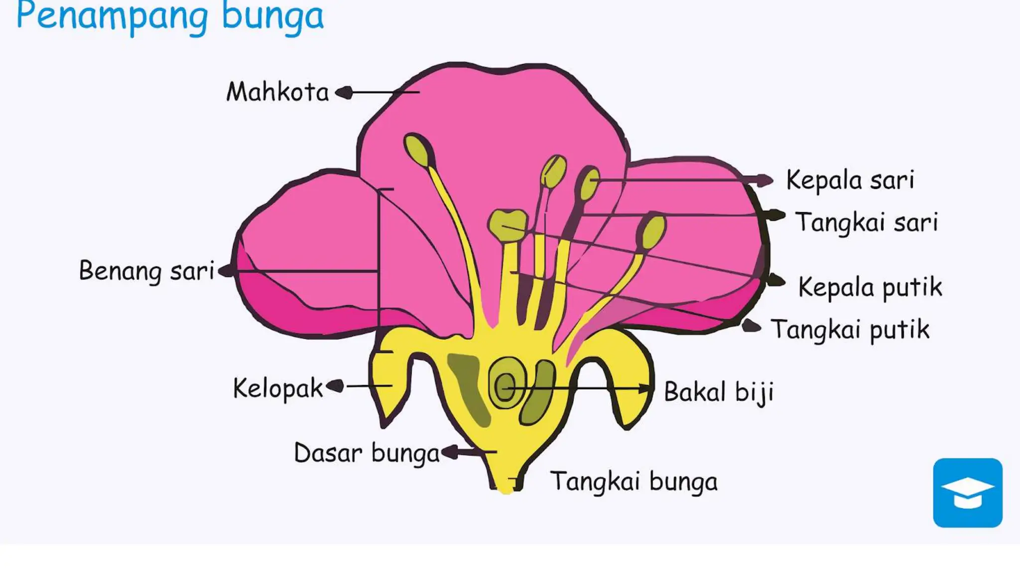 Bagian bagian bunga sempurna dan tidak sempurna.pptx