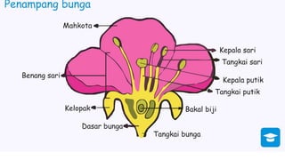 Bagian bagian bunga sempurna dan tidak sempurna.pptx