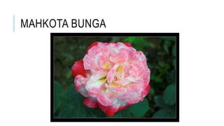 Bagian bagian bunga sempurna dan tidak sempurna.pptx