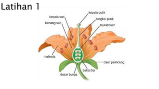 Bagian bagian bunga sempurna dan tidak sempurna.pptx