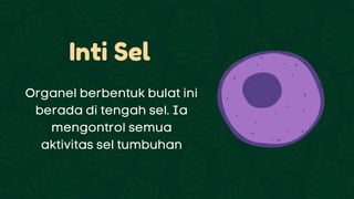 Bagian bagian sel makhluk hidup bagian2.pptx