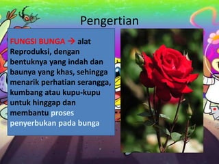 Bagian bunga dan fungsinya | PPTX