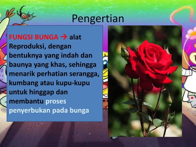 Bagian bunga dan fungsinya | PPTX