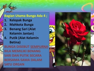 Bagian bunga dan fungsinya | PPTX
