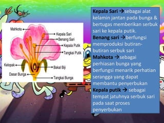 Bagian bunga dan fungsinya | PPTX