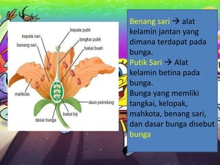 Bagian bunga dan fungsinya | PPTX
