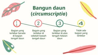 BAGIAN DAN BANGUN DAUN MORFOLOGI TUMBUHAN.pptx