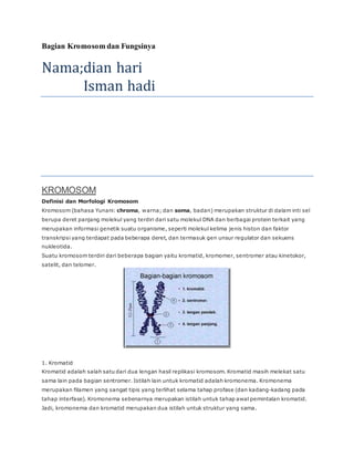 Bagian kromosom dan fungsinya | DOCX
