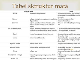 presentasi kelompok ipa kelas 9-sistem indra manusia.pptx