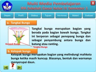 Bagian tumbuhan dan fungsinya | PPTX