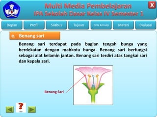 Bagian tumbuhan dan fungsinya | PPTX