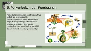 Bagian Tumbuhan dan Fungsinya.pptx untuk kelas 4 | PPTX