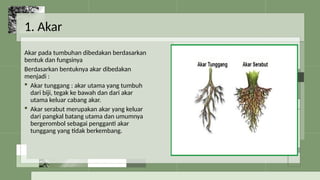 Bagian Tumbuhan dan Fungsinya.pptx untuk kelas 4 | PPTX