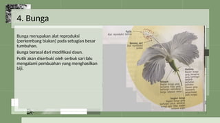 Bagian Tumbuhan dan Fungsinya.pptx untuk kelas 4 | PPTX