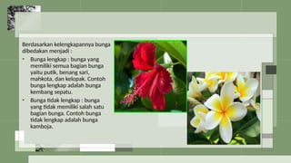 Bagian Tumbuhan dan Fungsinya.pptx untuk kelas 4 | PPTX