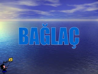 Baglac | PPT