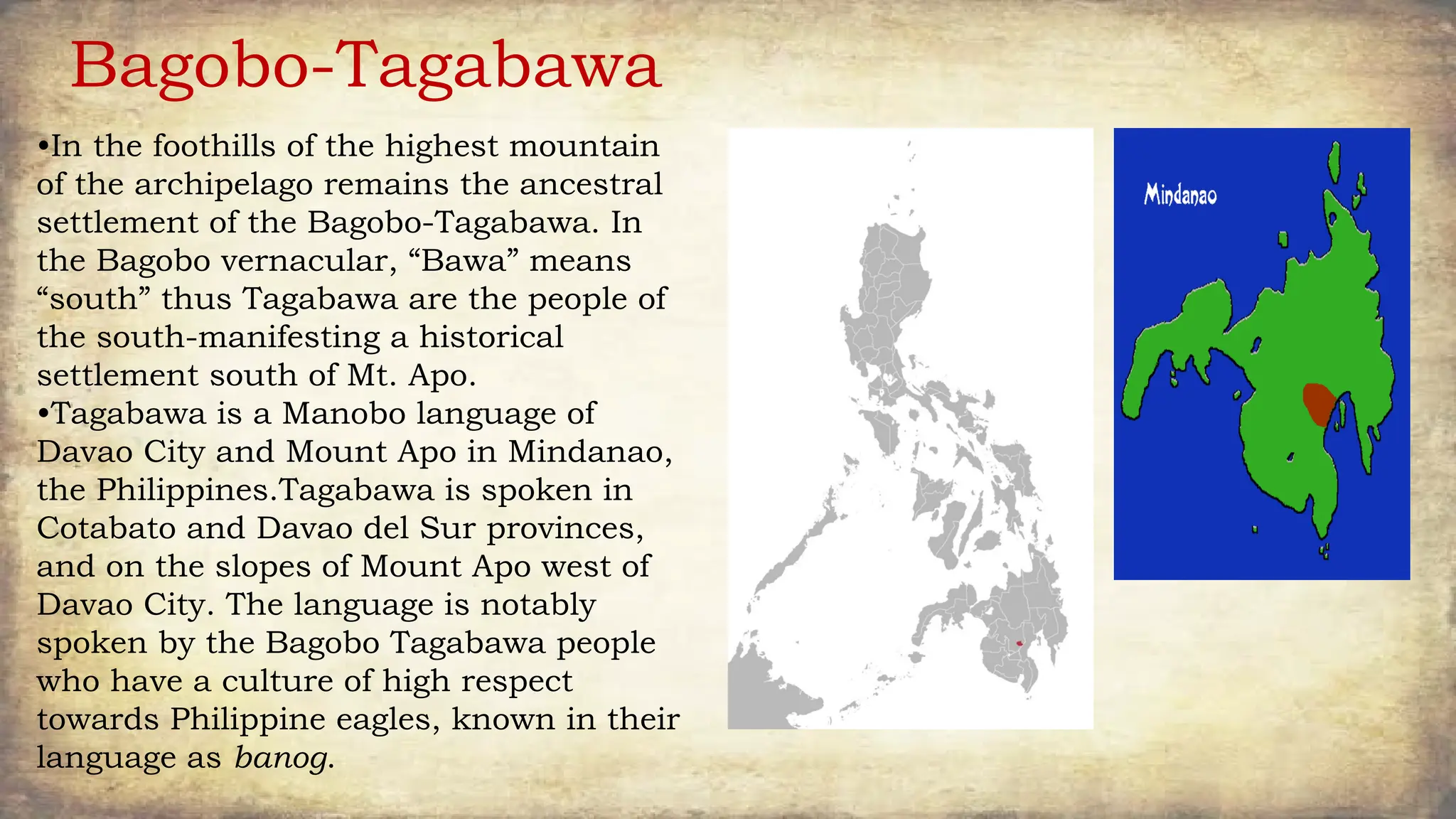 BAGOBO TAGABAWA TRIBE presentation-2.pptx