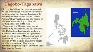 BAGOBO TAGABAWA TRIBE presentation-2.pptx