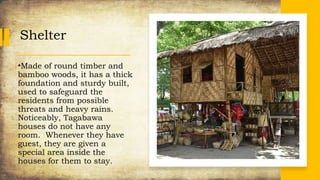 BAGOBO TAGABAWA TRIBE presentation-2.pptx