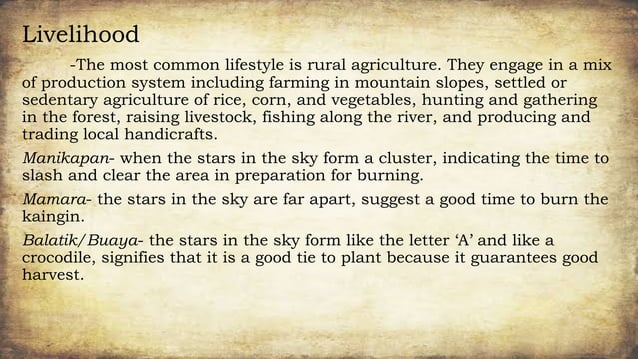 BAGOBO TAGABAWA TRIBE presentation-2.pptx