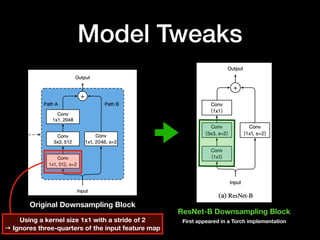 Bag of tricks for image classification with convolutional neural ...