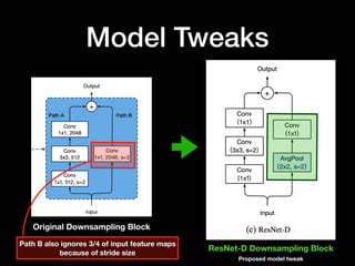 Bag of tricks for image classification with convolutional neural networks review [cdm] | PPT