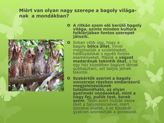 Bagoly világa 1. | PDF