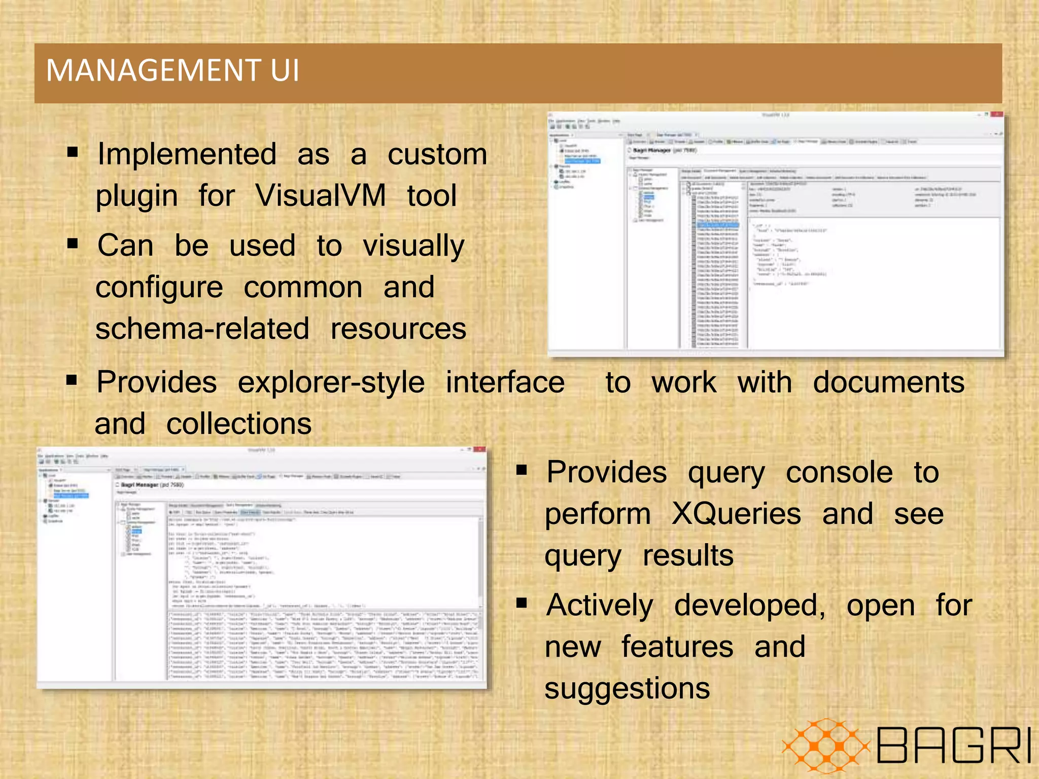 Bagri technical overview | PPT