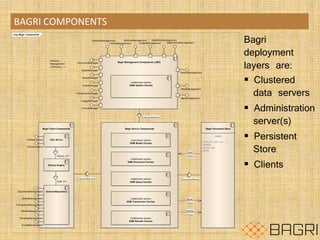Bagri technical overview | PPT