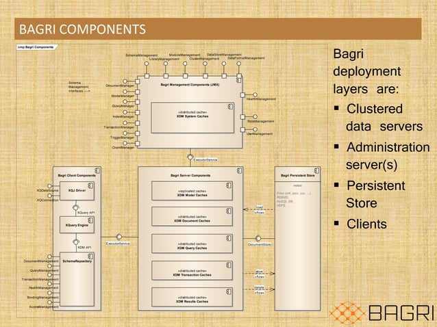 Bagri technical overview | PPT