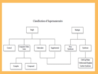 Supernumerary Teeth Chart