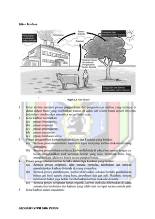 Bahagian a sistem ekologi | PDF