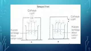Contoh soalan Sains T3 BAHAGIAN C soalan 1 dan 2.pptx