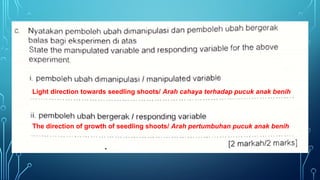 Contoh soalan Sains T3 BAHAGIAN C soalan 1 dan 2.pptx