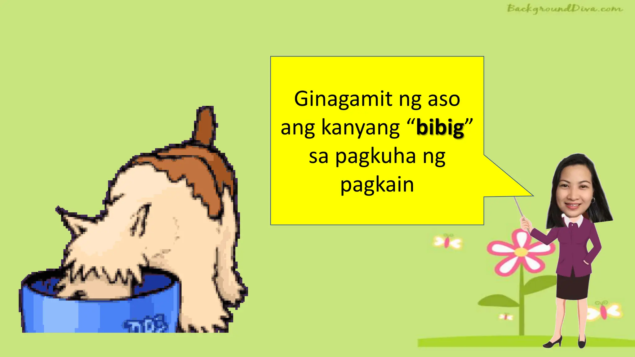 Bahagi ng Katawan ng hayop na Ginagamit sa Pagkuha ng Pagkain.pptx