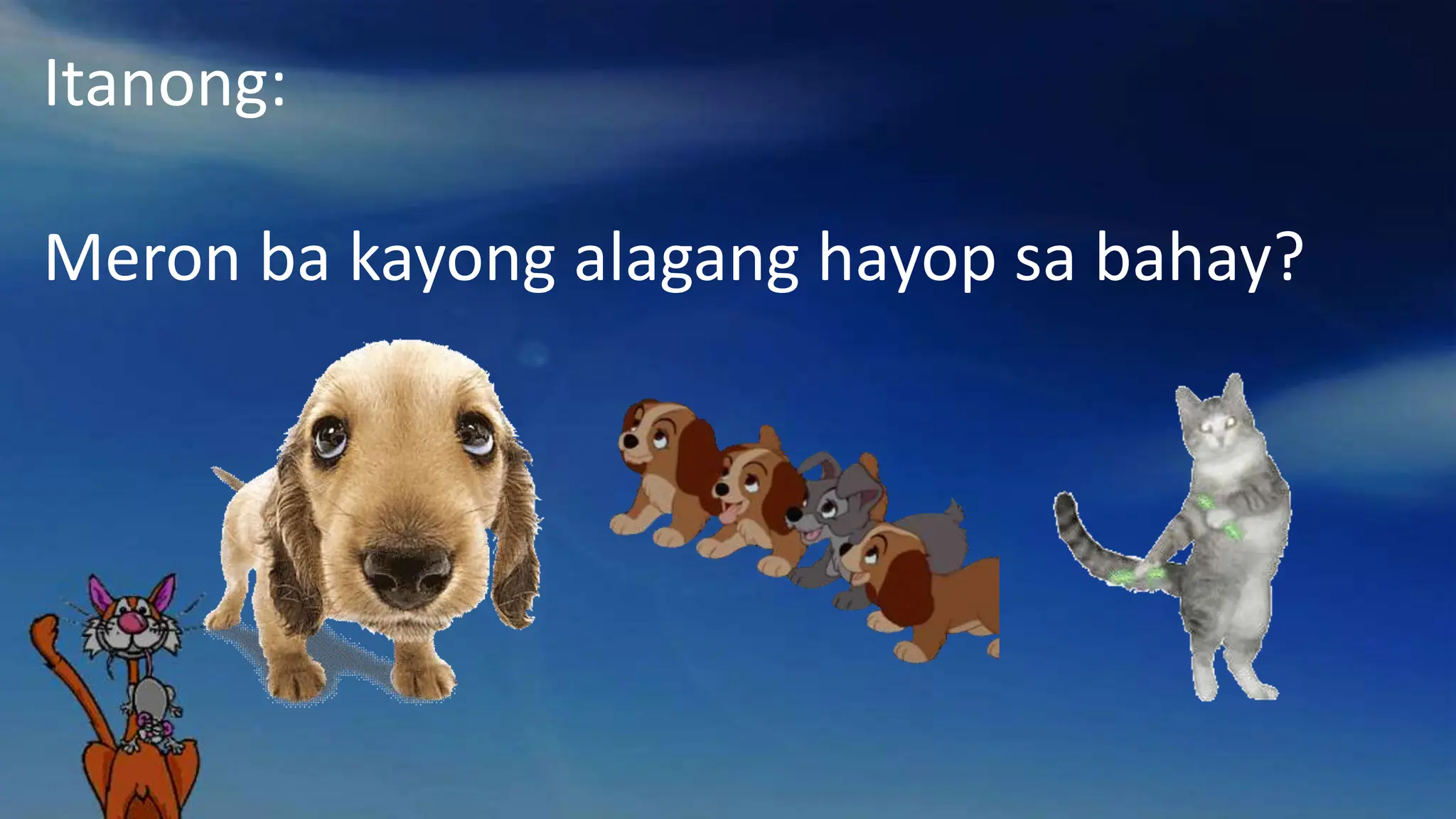 Bahagi ng Katawan ng hayop na Ginagamit sa Pagkuha ng Pagkain.pptx