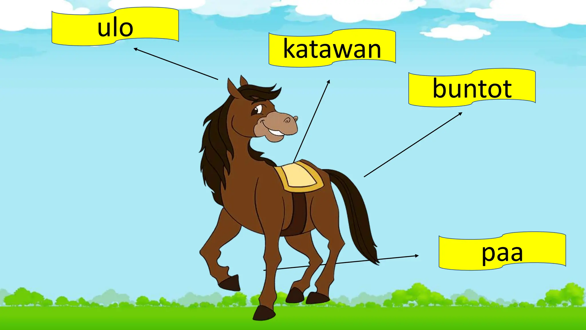 Bahagi ng Katawan ng mga Hayop grade 3.pptx