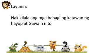 Bahagi ng Katawan ng mga Hayop grade 3.pptx