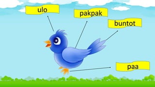 Bahagi ng Katawan ng mga Hayop grade 3.pptx