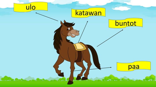 Bahagi ng Katawan ng mga Hayop grade 3.pptx