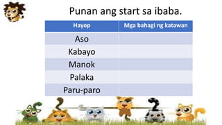 Bahagi ng Katawan ng mga Hayop grade 3.pptx