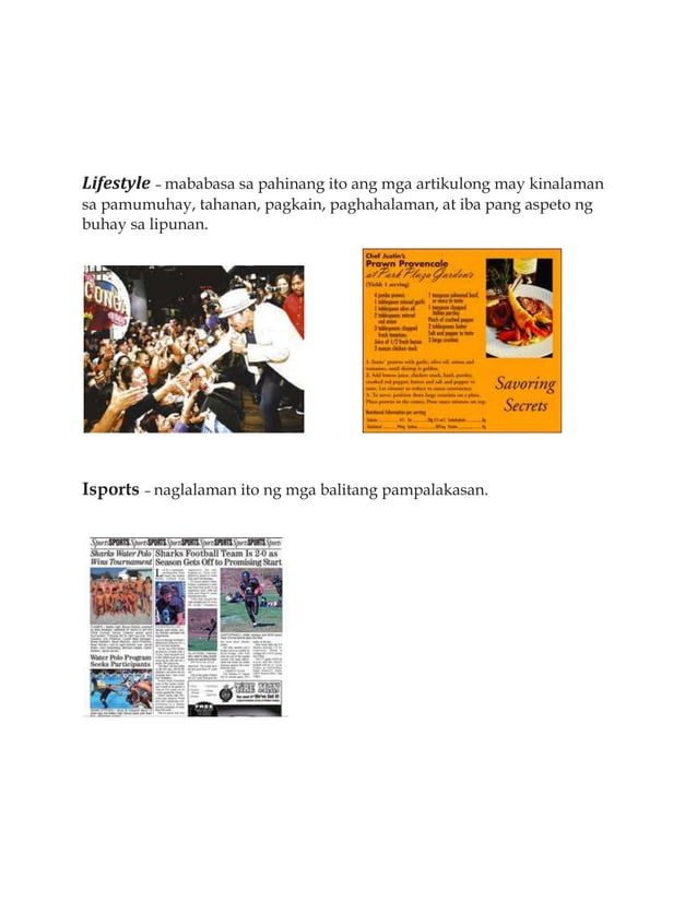 Bahagi ng pahayagan | DOCX