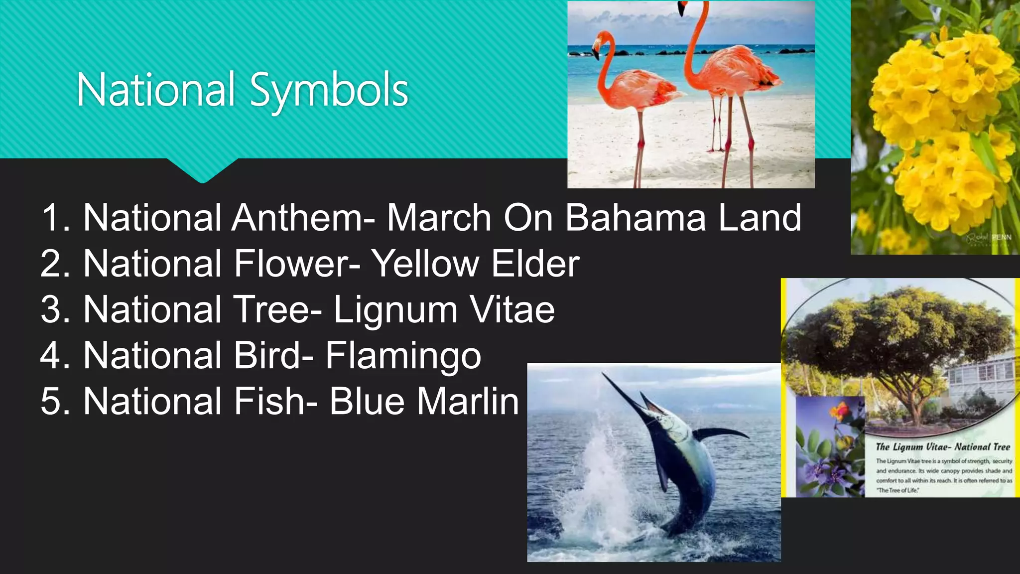 Bahamian culture | PPTX